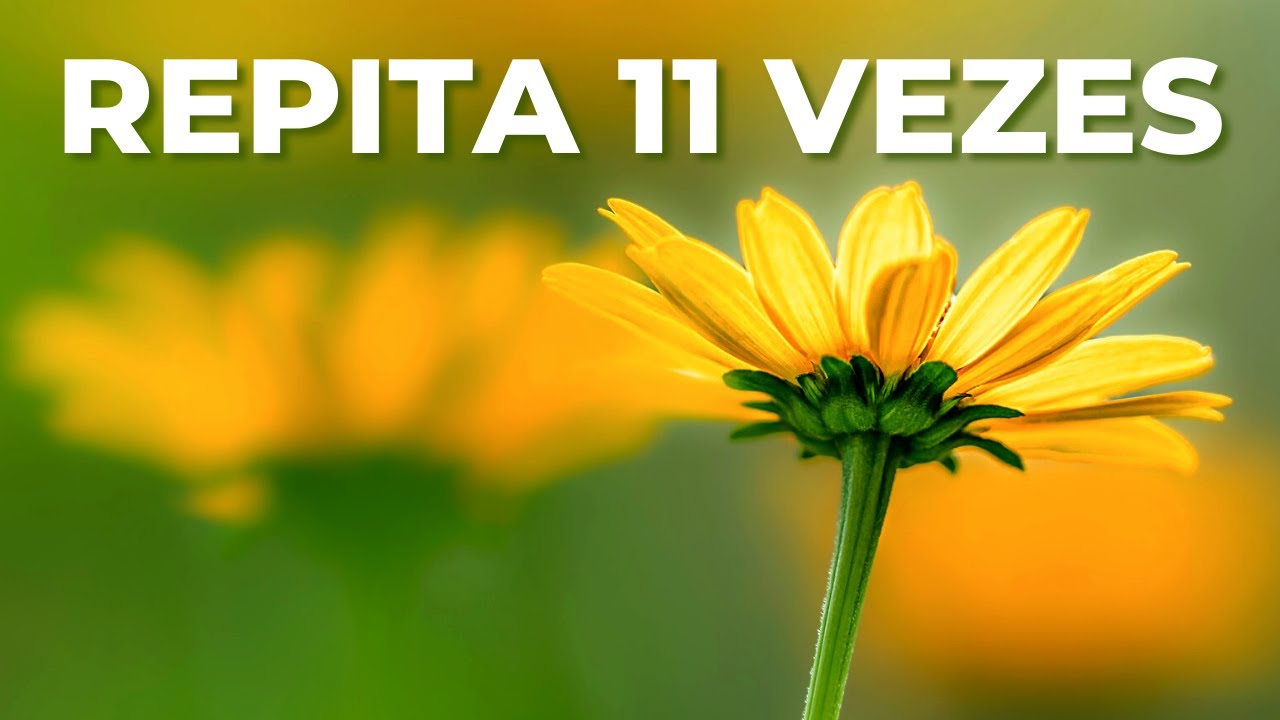 REPITA 11 VEZES E O QUE É SEU CHEGARÁ - YouTube