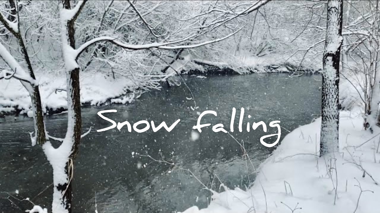 Snow Falling Video with Relaxing Music / Nature Cinematic Video / A ...