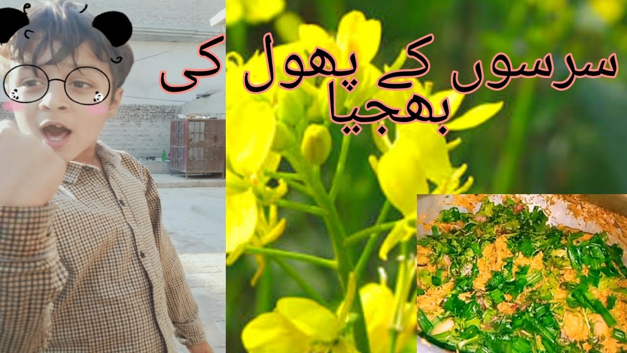 How to make musterd flowers/ sarson flowers bhujiya recipe/ sarson k ...