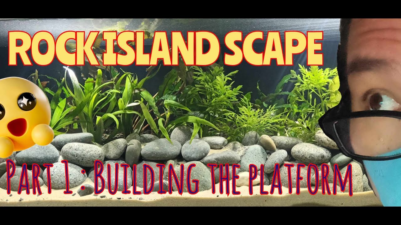 Island/River Rock Scape Tank Part 1 #aquascape #aquarium #plantedtank # ...
