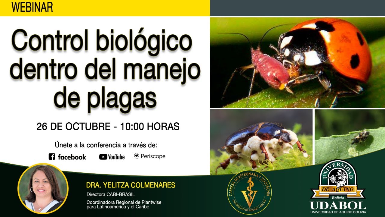 Control BiolÓgico Como Una Herramienta De Manejo Sustentable De Plagas