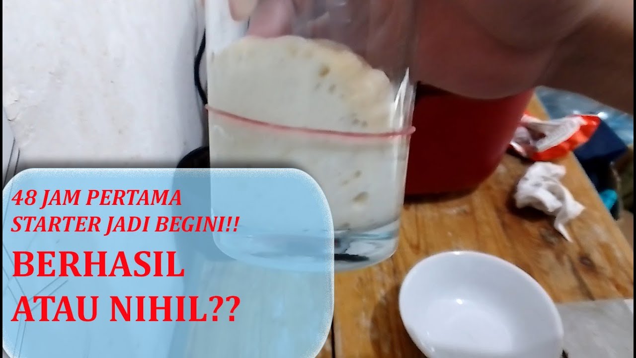 Lanjut Bikin Ragi Alami Sourdough | Starter Day 3 – Feeding Setelah 48 ...
