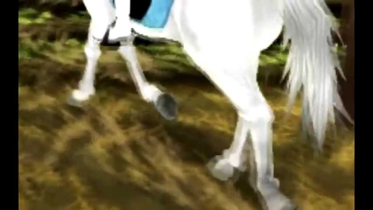 SSO~ ... Jasper :) - YouTube