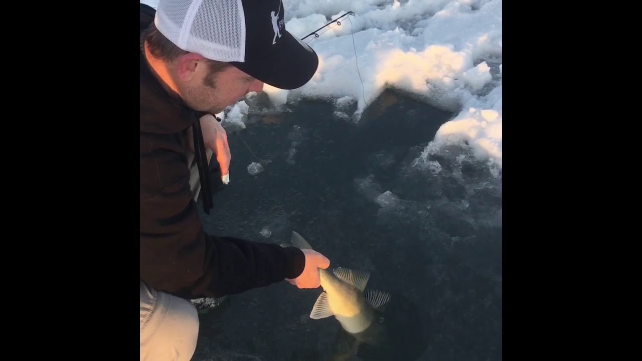 Eagle Lake, Alberta - YouTube