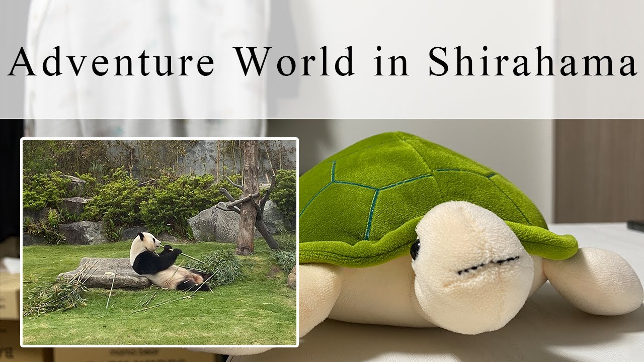 #202 Adventure Unleashed: Exciting Escapade at Shirahama Adventure ...