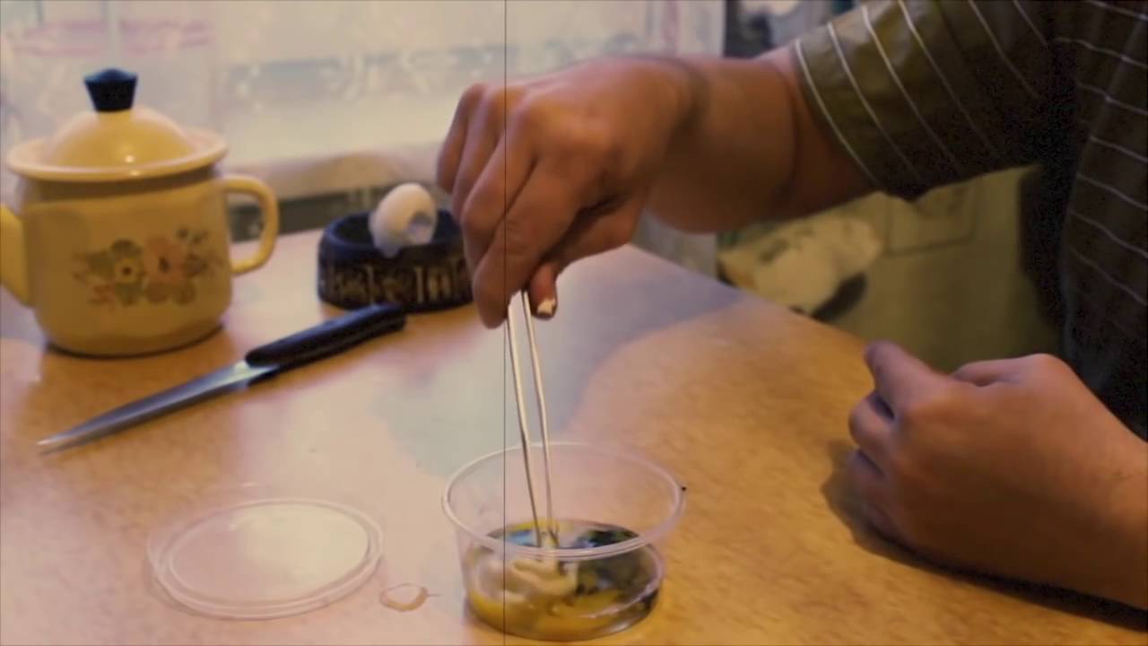 WHAT IS A HOMUNCULUS Russian Homunculus Egg Footage analysed - YouTube