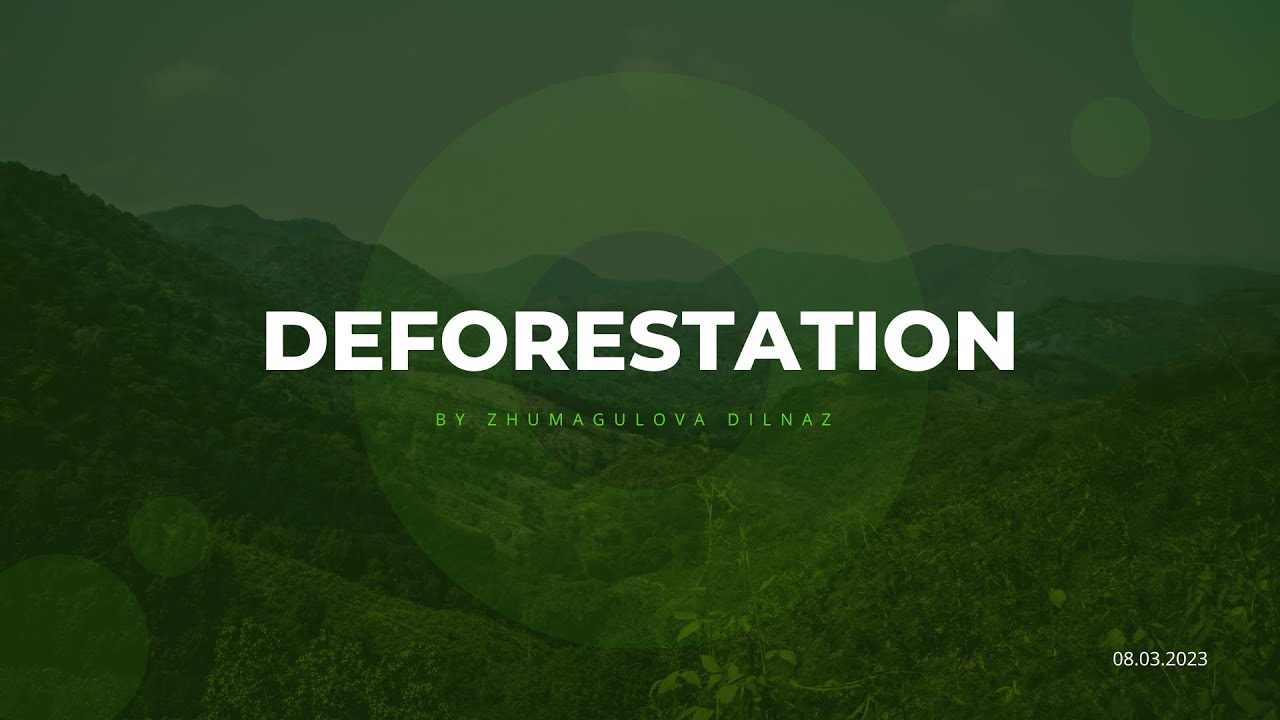 PSA Deforestation - YouTube