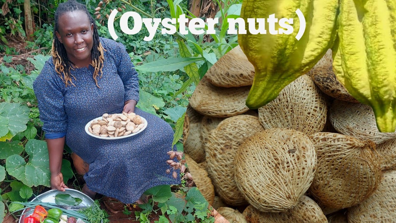 Preparing delicious traditional oyster nuts/ scrambled eggs for lunch # ...