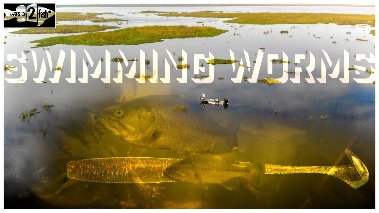 How to Swim Worms for Springtime Bass - YouTube