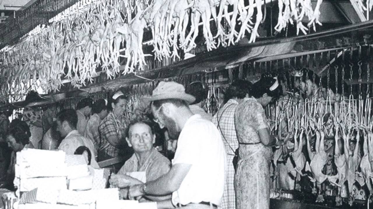 Excellent Partners: The Chicken of Tomorrow Contest - YouTube