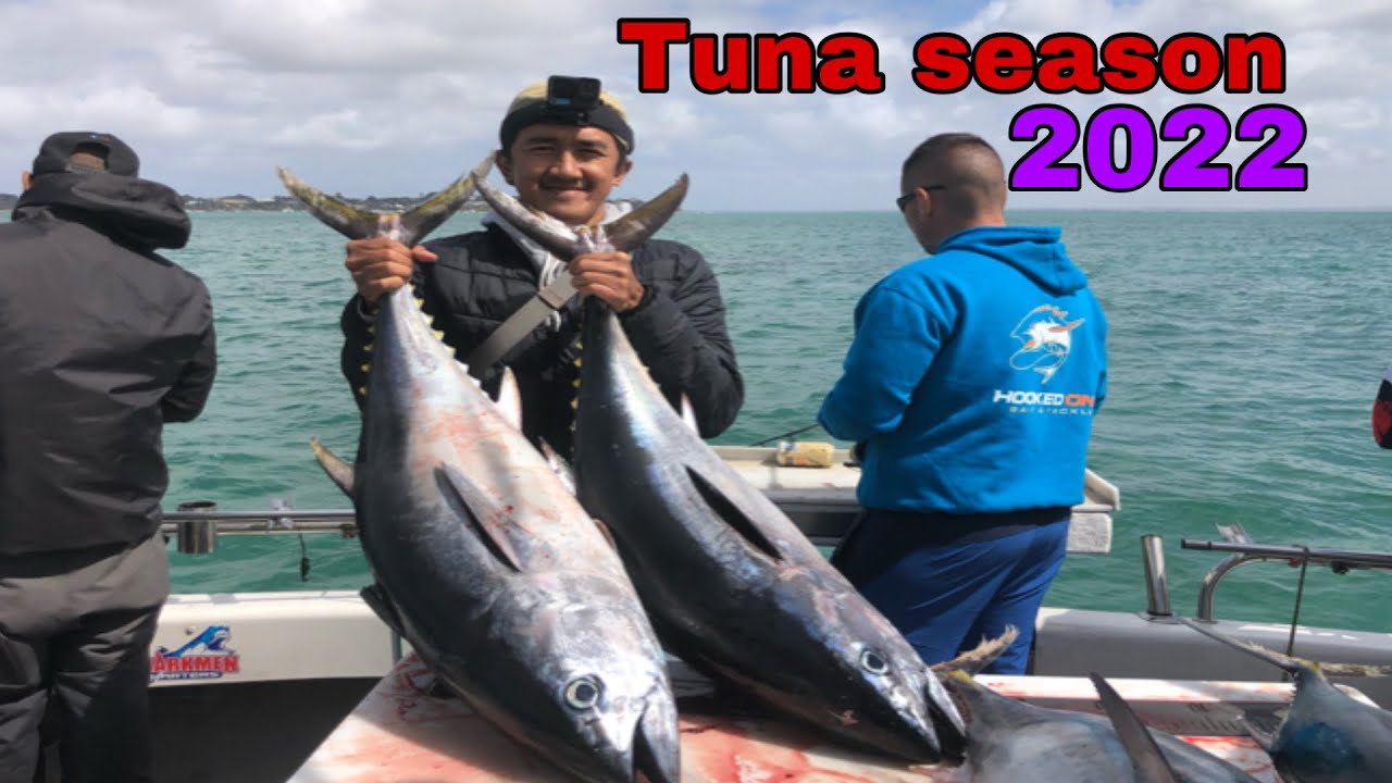 mancing tuna di melbourne.. - YouTube
