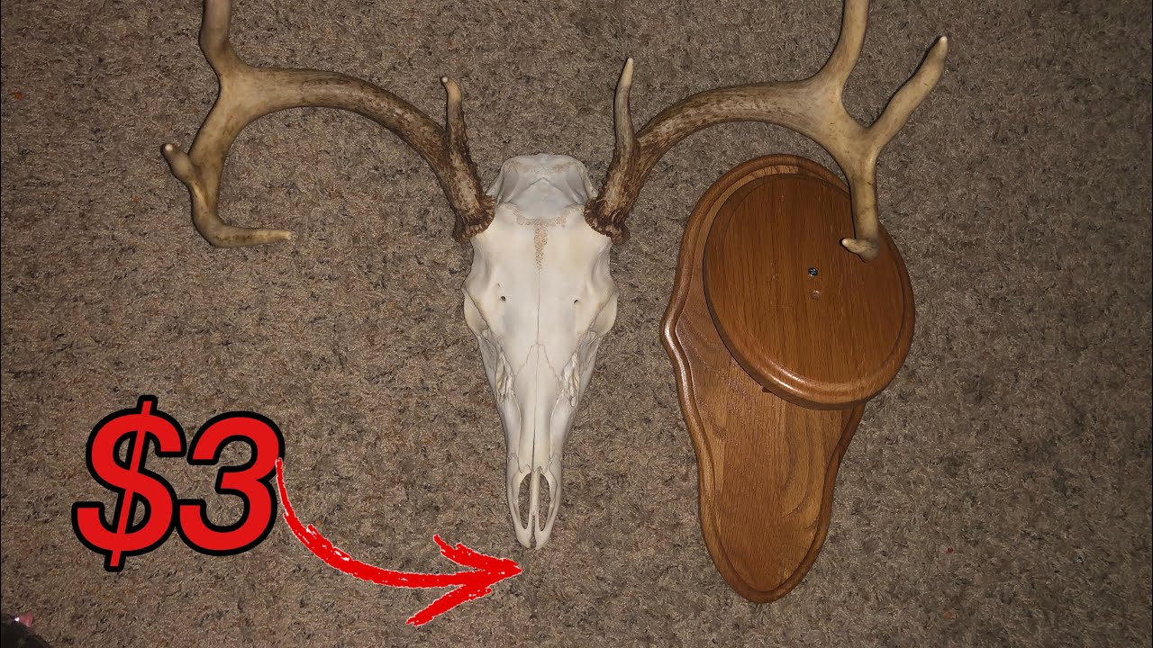 DIY European Head Mount - YouTube