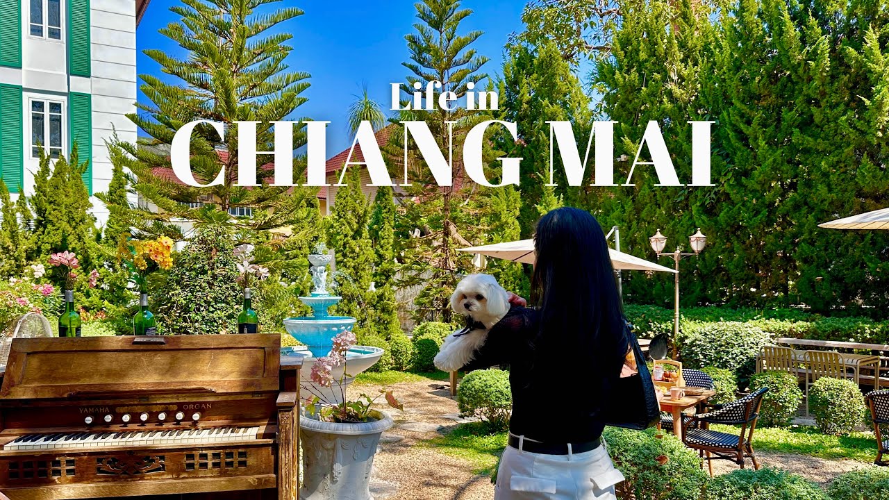 The art of slow living - food, temple & favorite neighborhoods | Chiang ...
