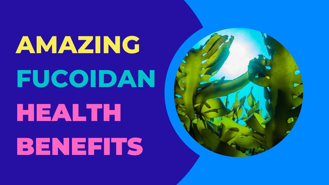 Amazing Health Benefits of Fucoidan - YouTube
