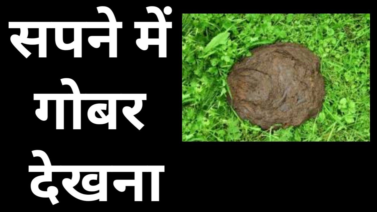 सपने में गोबर देखना || Sapne me Gobar dekhna || Sapne me gobar ke upale ...