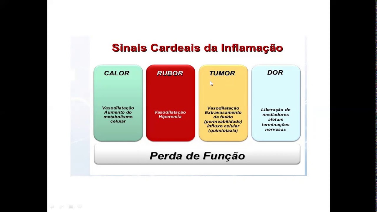 Aula Inflamação Aguda e Crônica PARTE I - YouTube