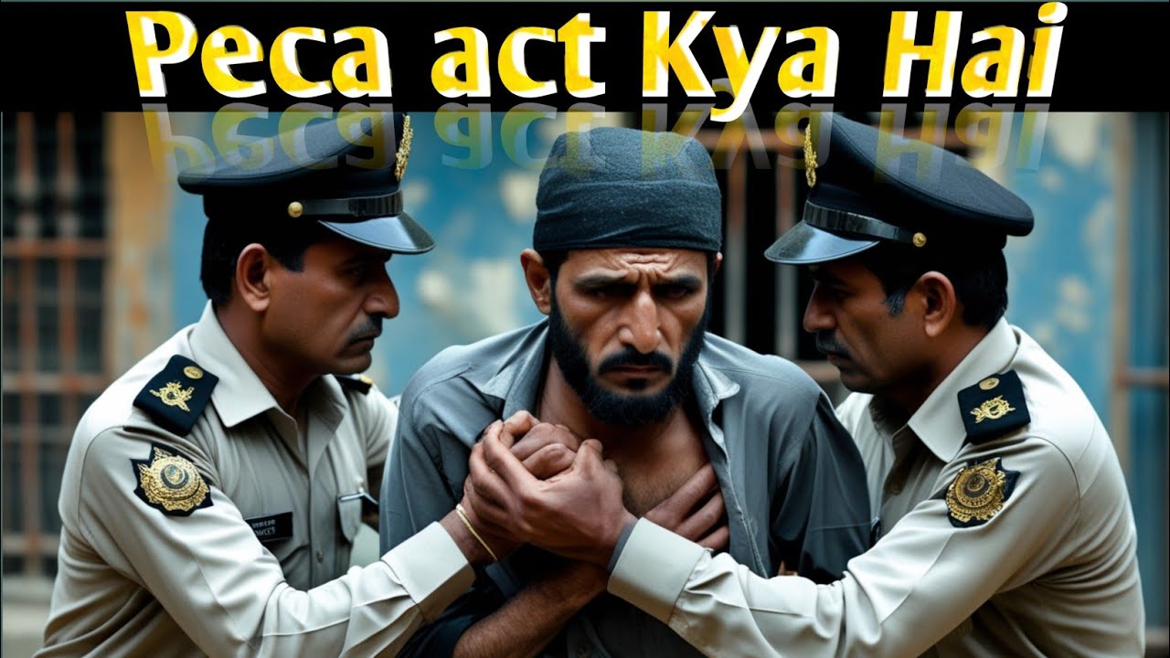 What is the Pica Act | Peca act 2025 - YouTube