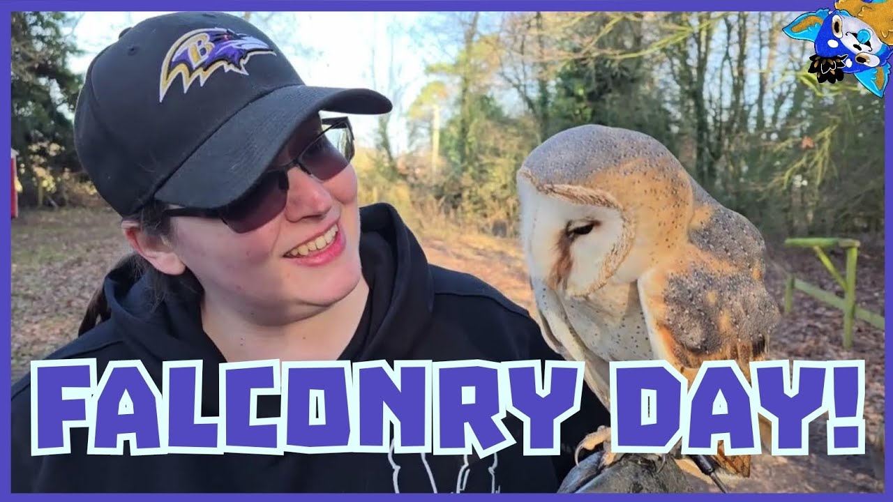FALCONRY DAY! We Visit Willows Bird of Prey Centre in Kent! - YouTube