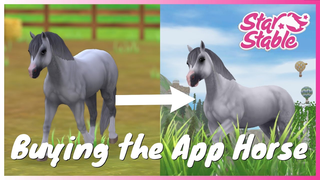 Buying the Welsh Pony From the App! | Star Stable Online - YouTube