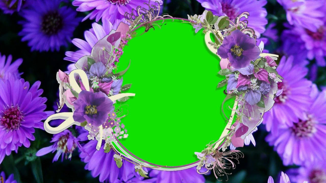FLOWER PICTURE FRAME GREEN SCREEN EFFECT 29 - YouTube