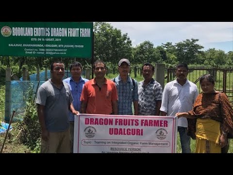 Training on making Biochar from Rice 🌾 husks( hulls) for Organic ...