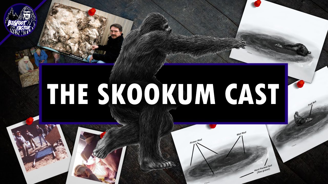 The Bigfoot Skookum Cast Controversy: A Deep Dive into Bigfoot Evidence ...