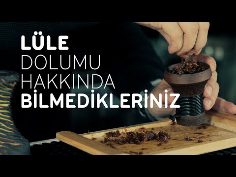 NARGİLE EĞİTİMİ BÖLÜM 2 - LÜLE DOLUM TEKNİKLERİ