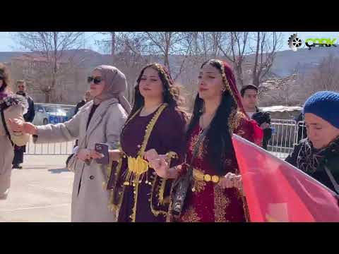 Newroz ateşi Karakoçan'da yakıldı 
