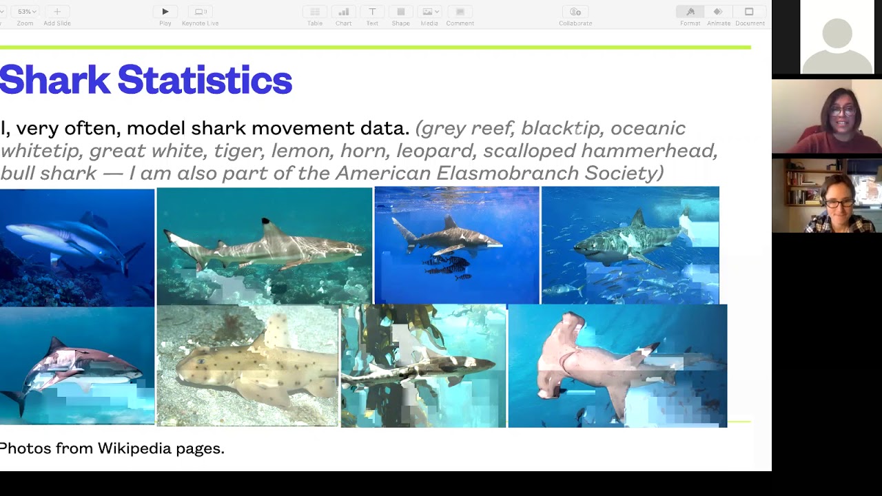 Statistical Ecology: What is it? - YouTube