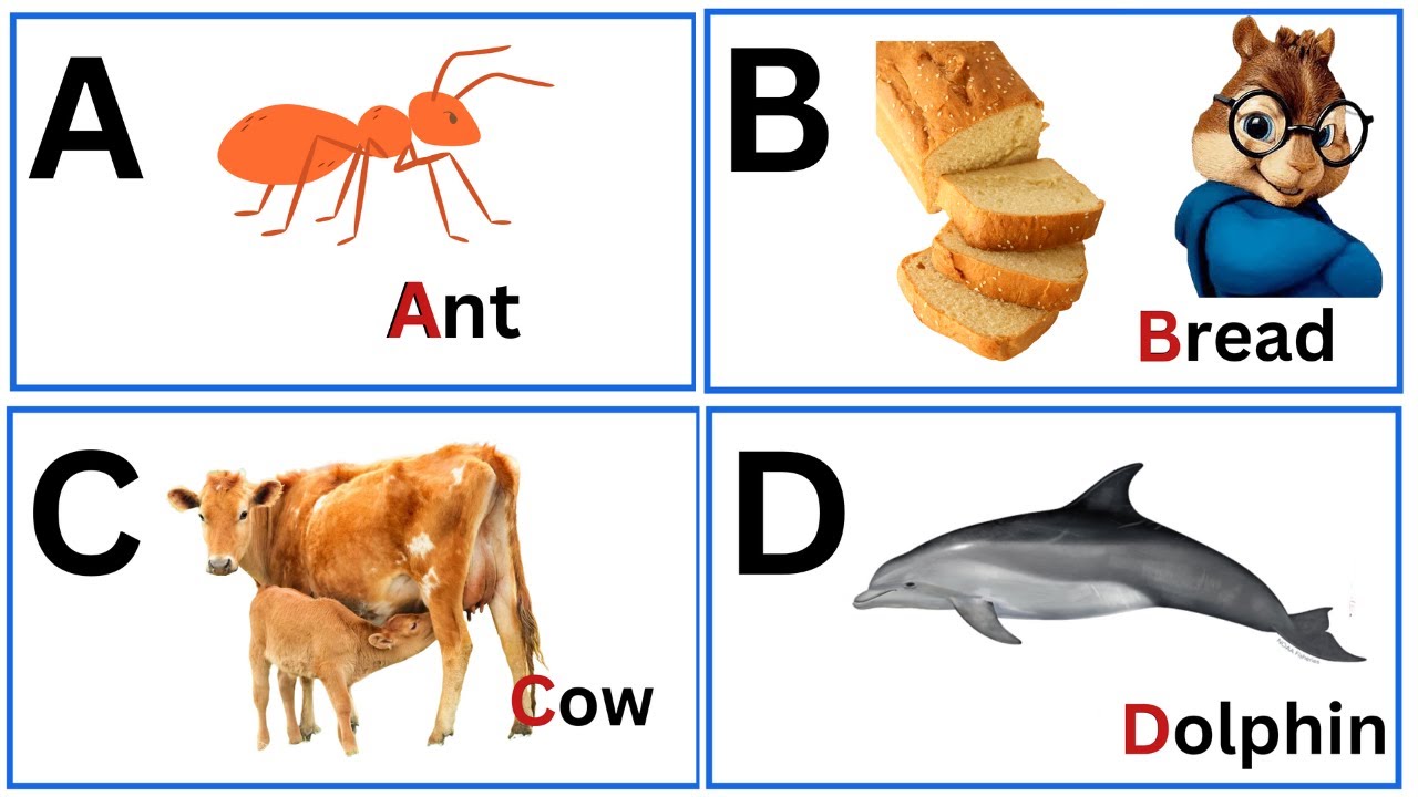 ABCD |Learn Alphabet A to Z | ABCD Flash cards A for Ant Phonetics part ...