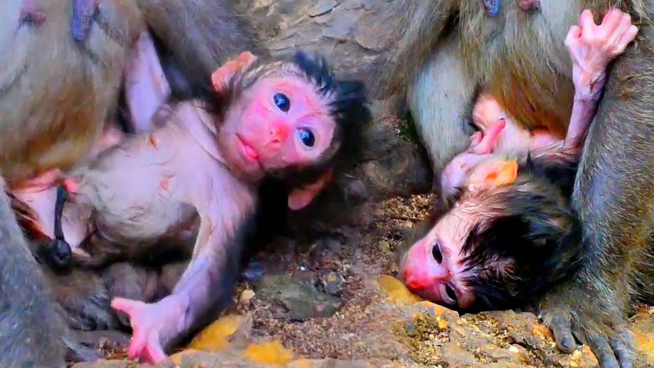 Special video, today mother giving birth. - YouTube