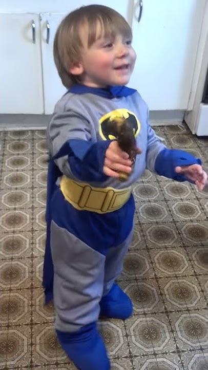 Banana-nana-nana-nana Batman! - YouTube