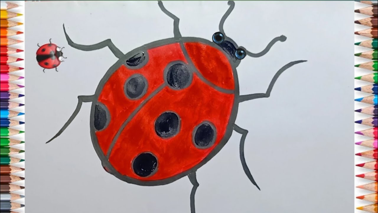 How to draw Ladybug easy 🐞| Ladybug drawing easy for kids| Bug drawing ...