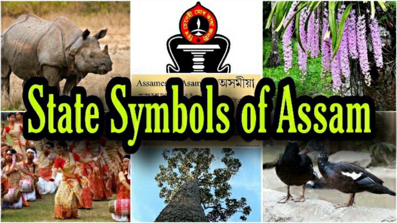 State symbols of Assam || অসমৰ ৰাজ্যিক প্ৰতীকসমূহ || Assam || North ...