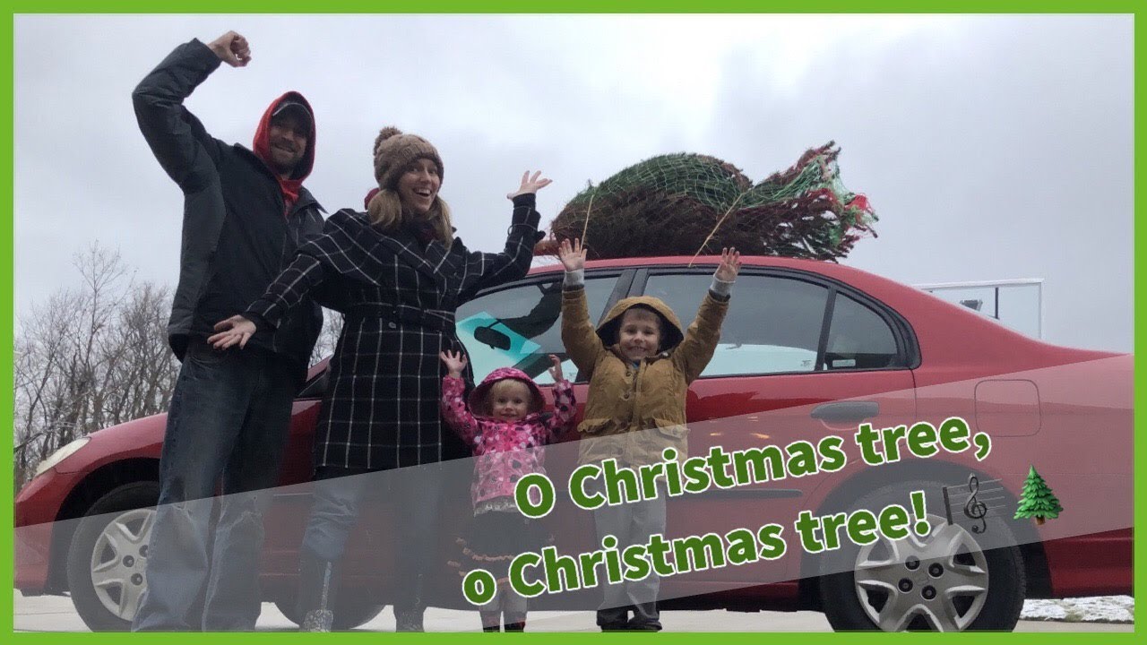 Cutting Down Our Christmas Tree 2018 Finding The Perfect Xmas Tree