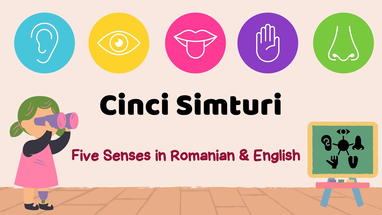 Cinci Simturi - Five Senses in Romanian & English - YouTube