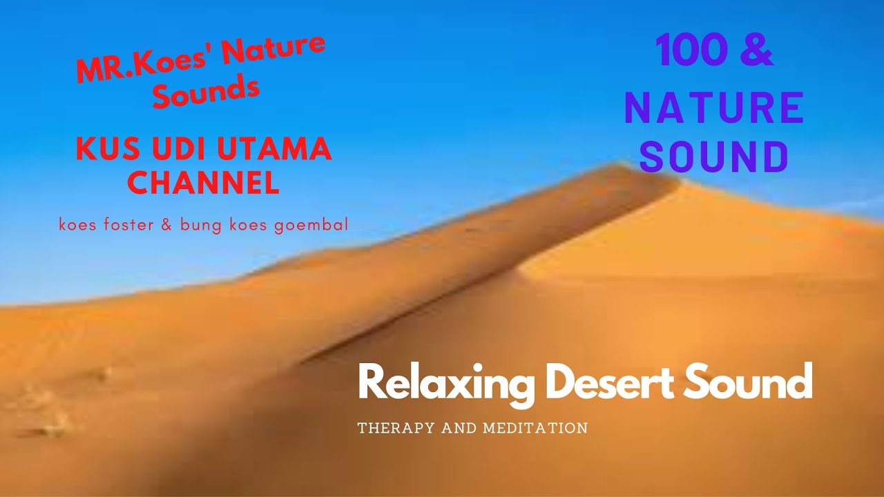 Relaxing Desert Sounds I Therapy and Meditation - YouTube