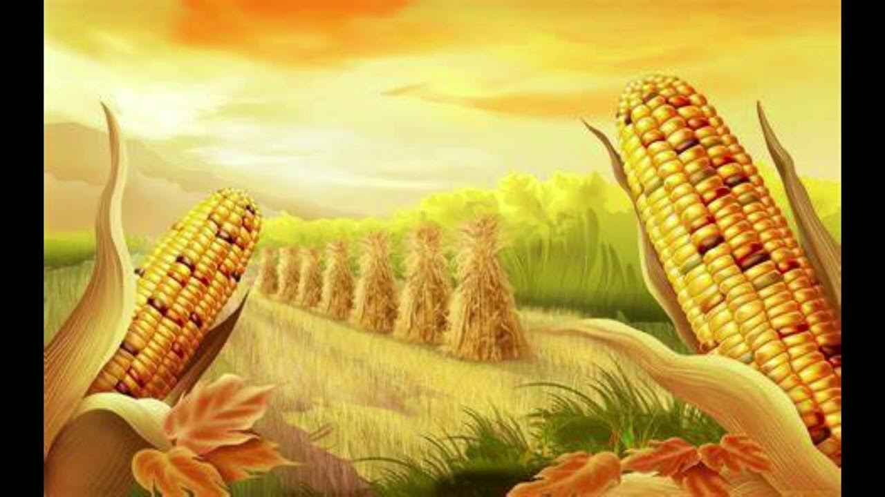 It's Corn - Lyrics (Full Song) - YouTube