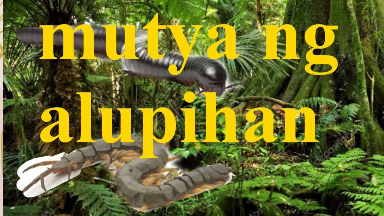 mutya ng alupihan - YouTube