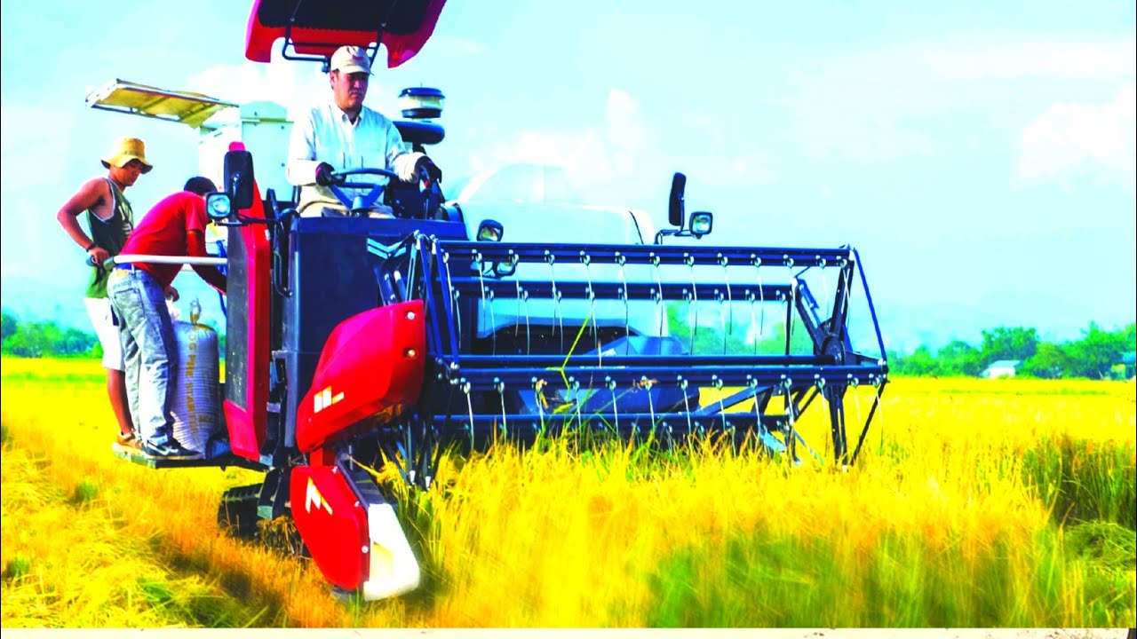 Modren Agriculture Technology Rice Grow and harvesting Process This ...