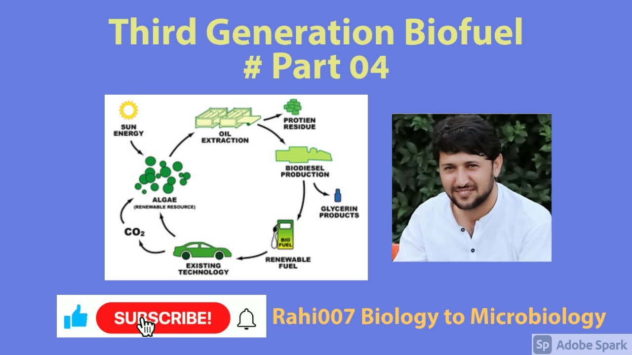 Third Generation Biofuels # Part 04 - YouTube