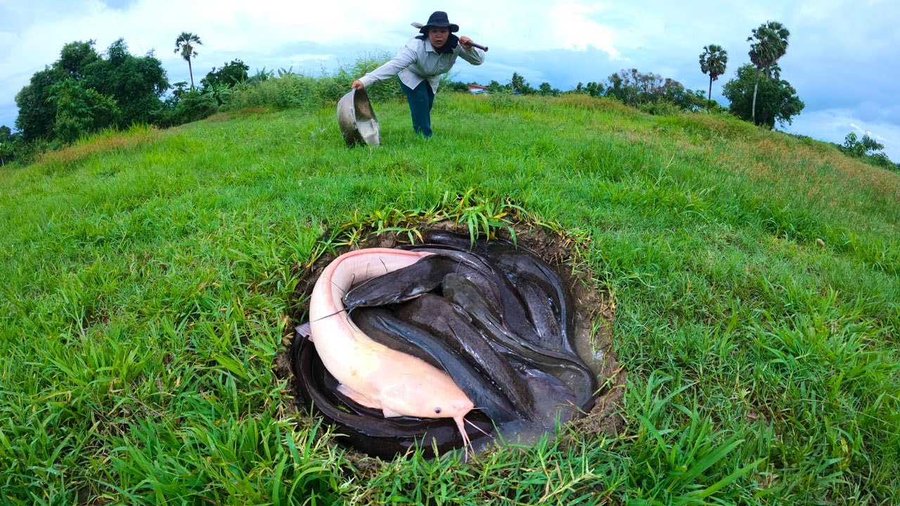 Best hand fishing, fishing village, catch a lot of fish under grass by ...