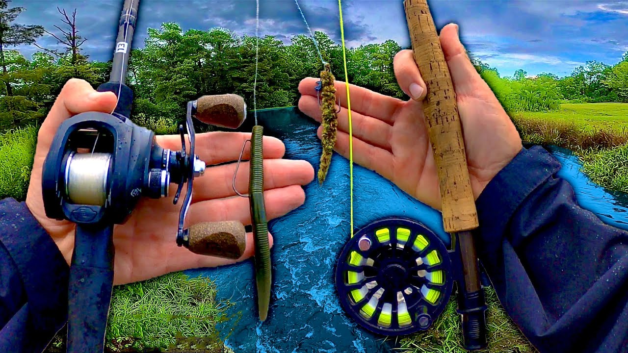 Which one Catches MORE FISH? (Fly vs Conventional) - YouTube