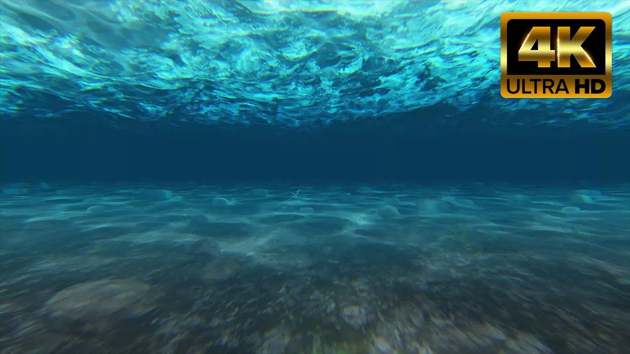 Underwater Ocean Bottom Screensaver – 1HR LOOP 4K 60FPS - YouTube