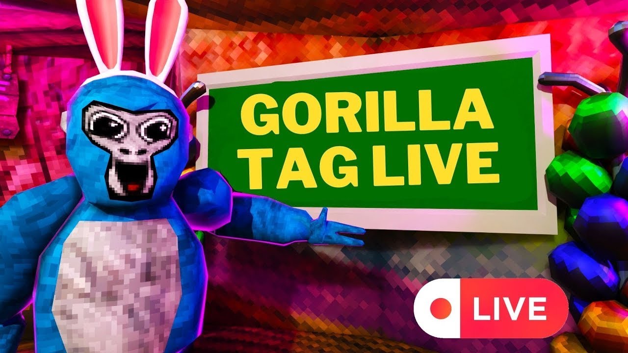 Puddlez Live Stream - YouTube