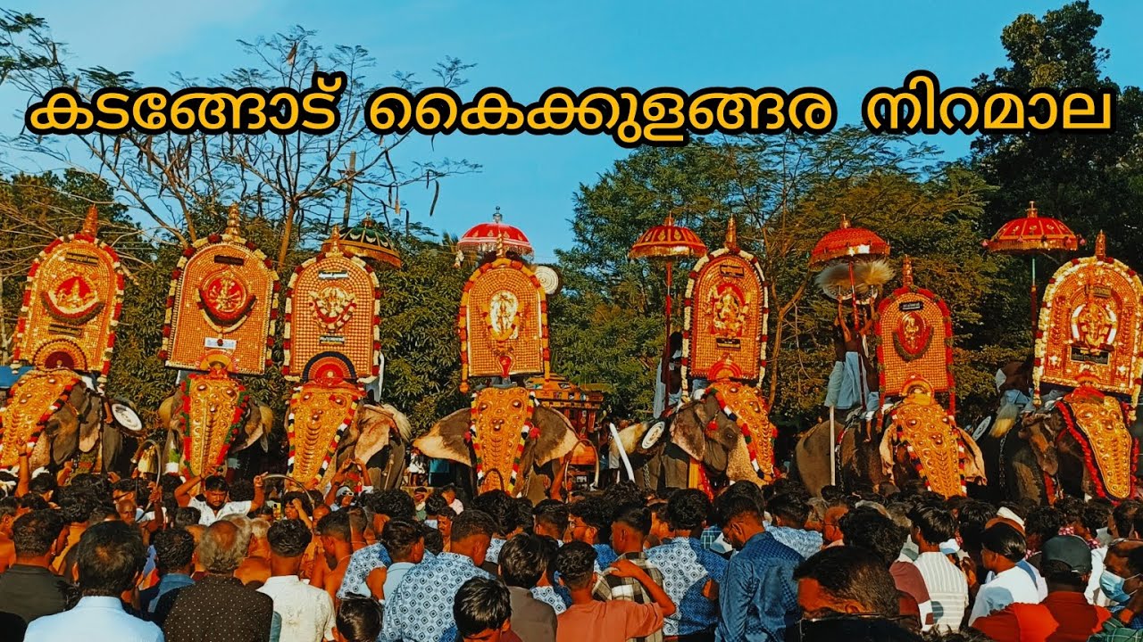 kadangode kayikulangara nirmala #pooram #viral #trending #elephant ...
