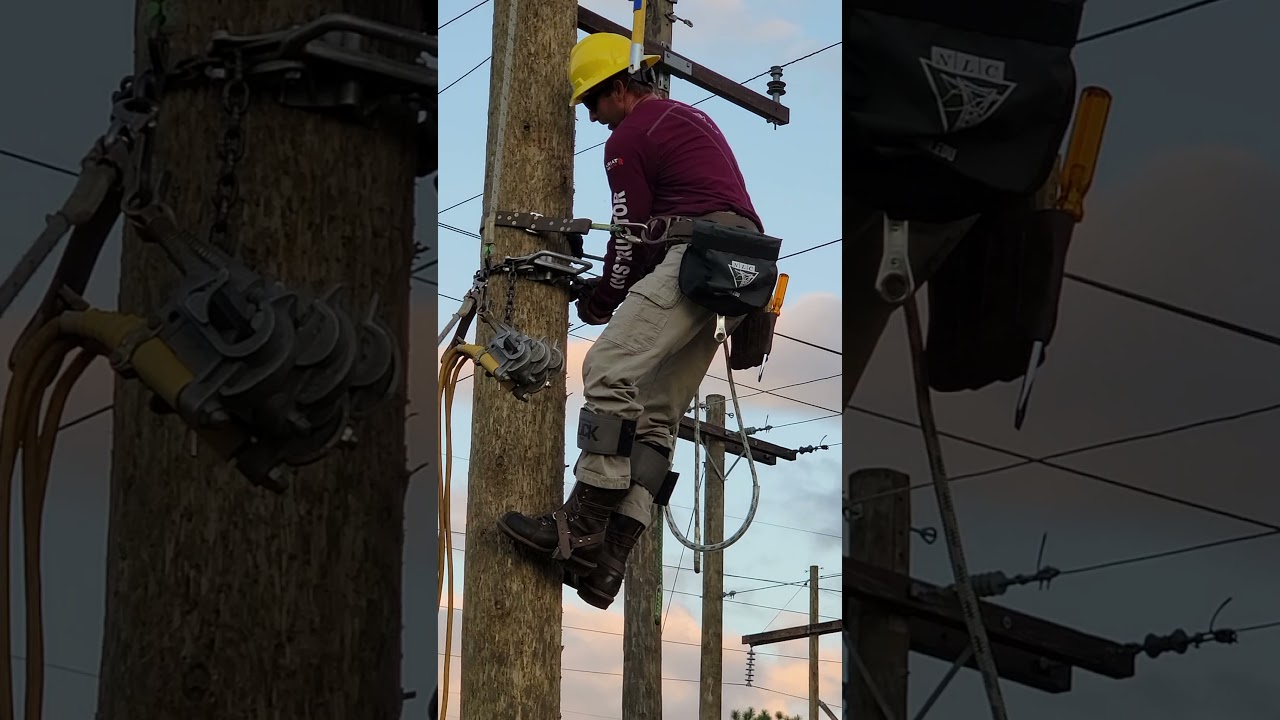 epz grounding - YouTube