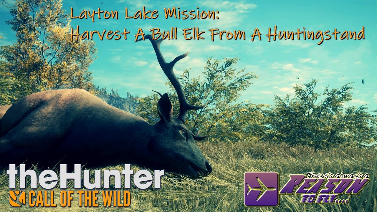Layton Lake Mission - Harvest An Elk Bull From A Huntingstand - YouTube