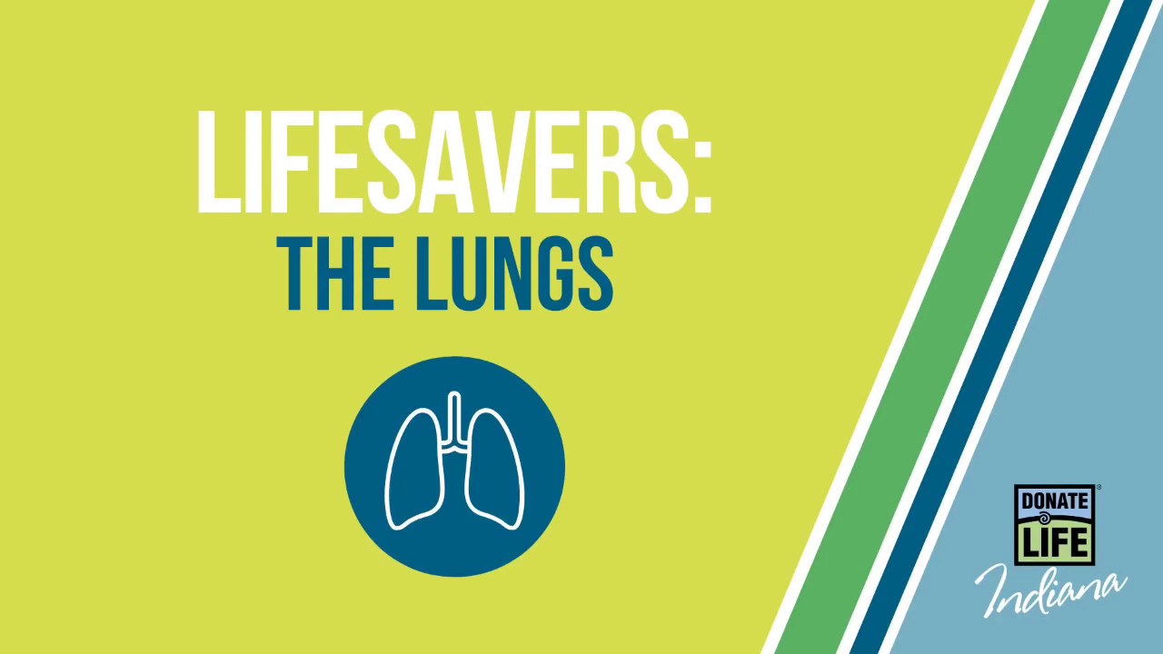 Lifesavers - The Lungs - YouTube