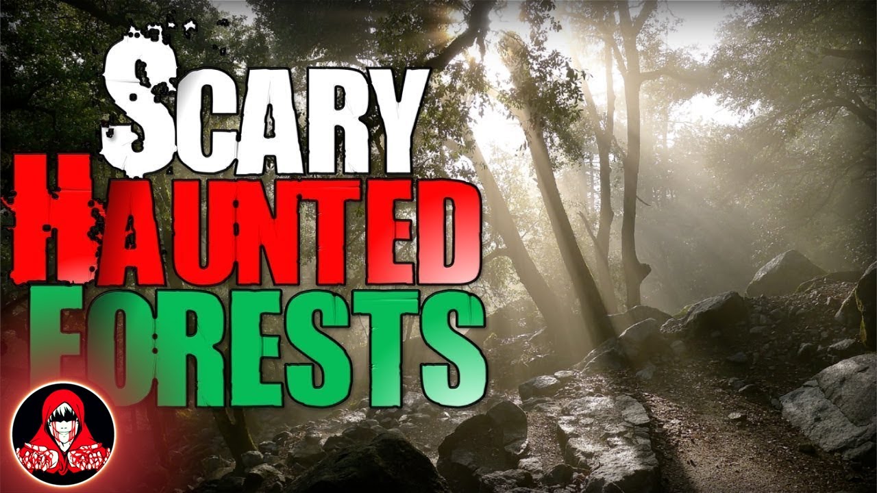 5 REAL Haunted Forest Encounters - Darkness Prevails - YouTube